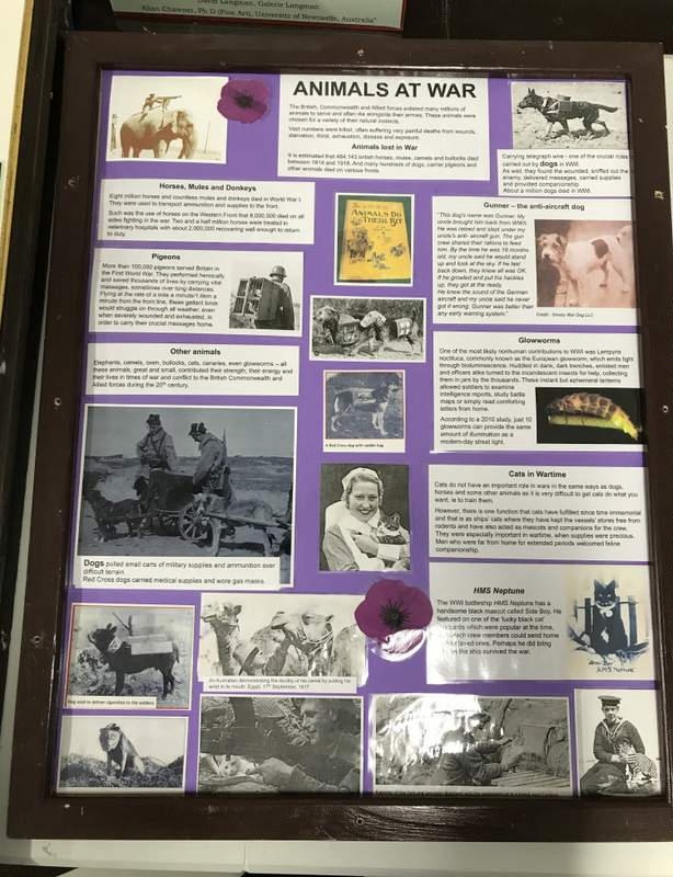 Poster, Animals at War; Thames Museum; 2000s; 2024.124.02 | eHive