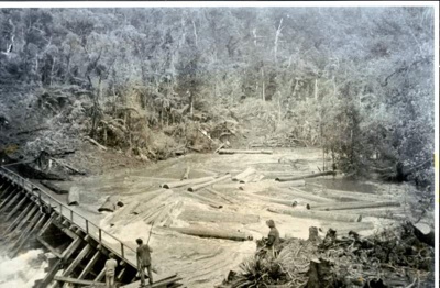 Photograph. Main Dam logging; unknown; 1900s; 0102011 | eHive