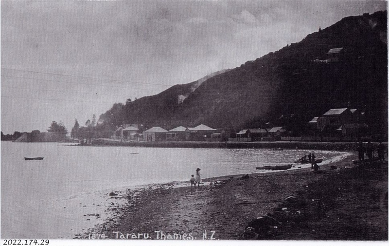 Photograph, Tararu; Wilsons Series; 2022.174.29 | eHive