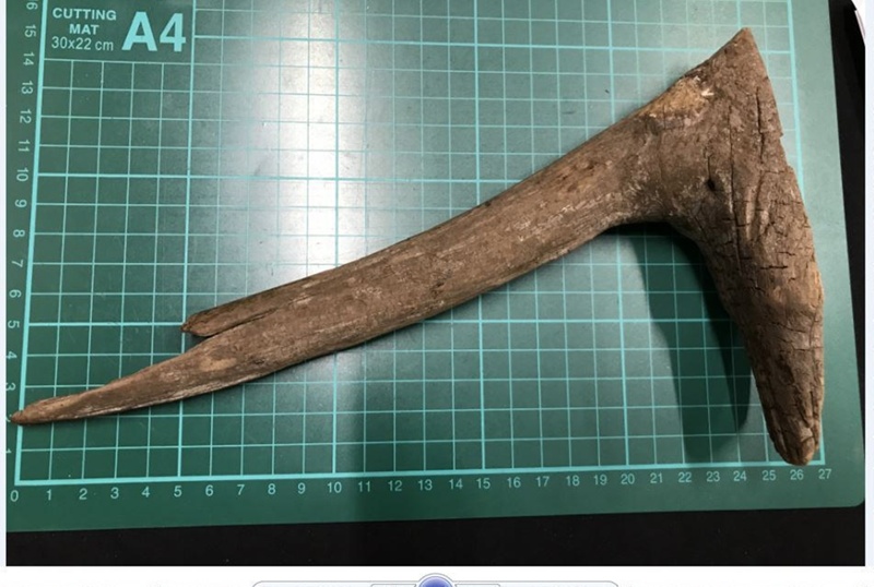 Ko, end; 3600011 | eHive