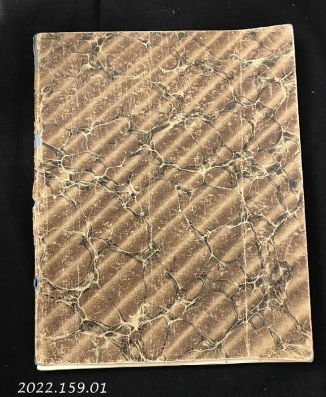 Diary, personal; Hetherington Family; 1895; 2022.159.01 | eHive