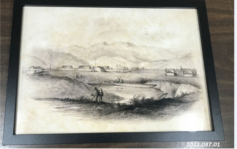 Photograph print, Puriri; Wade, William Richard; c1835; 2022.087.01 | eHive