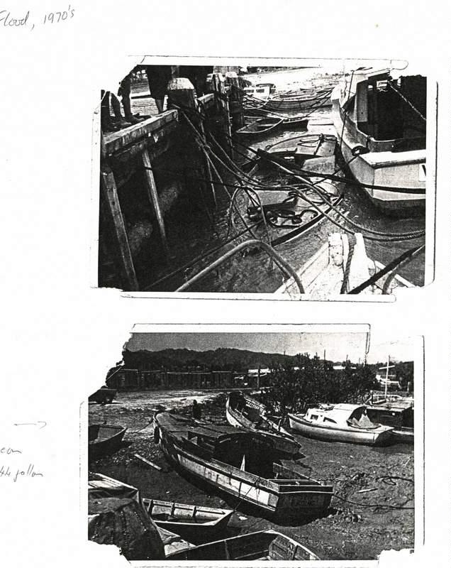 Photograph, Flood damage wharf; unknown; 1970s; 2024.015.07 | eHive