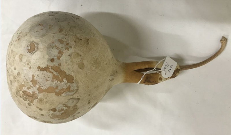 Gourd; 78.65 | eHive