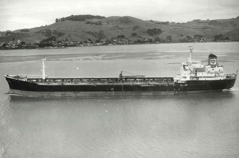Photograph, ship "BRITISH LIBERTY"; BainWright; PC.15.15.20.10 1-3 | eHive