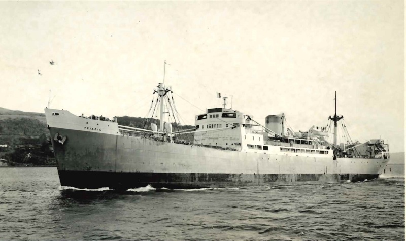 Photograph, cargo ship "TRIADIC"; BainWright; PC.15.15.40.17 | eHive