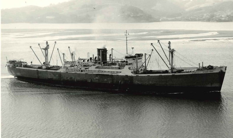 Photograph, ship "JAVANESE PRINCE"; BainWright; PC.15.15.31.21 1-2 | eHive