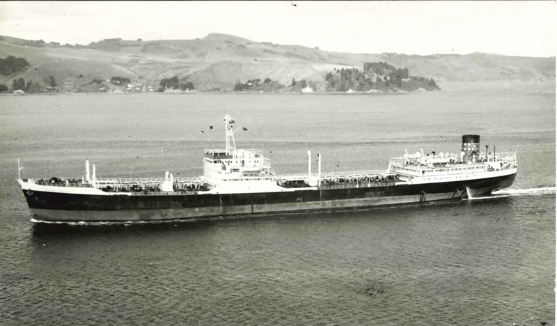 Photograph, Ship "BORDER TERRIER"; BainWright; PC.15.15.22.15 | eHive