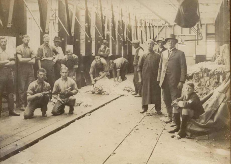 [Sheep shearing class at Smithfield, Timaru]; 30/11/1915; 2005/001.01 ...
