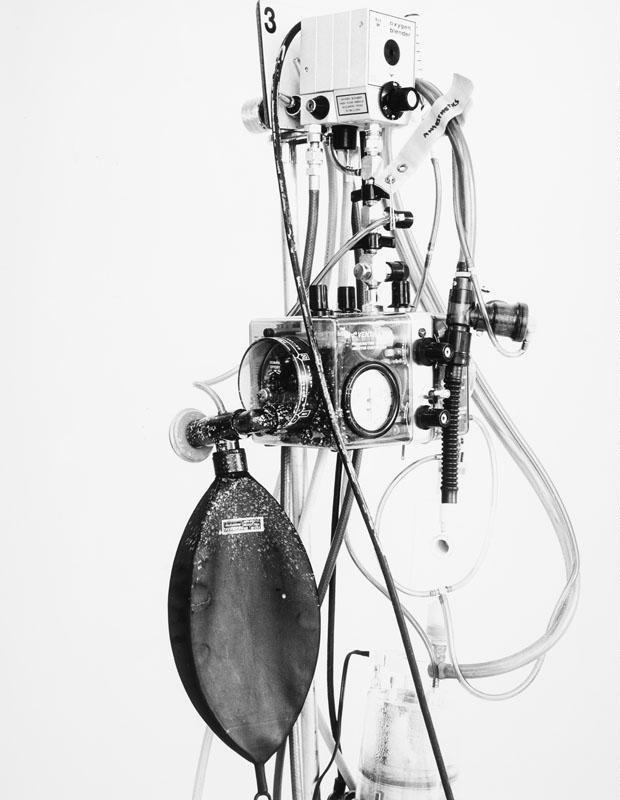 Photograph, Bird ventilator; ADHB 2011-548 | eHive