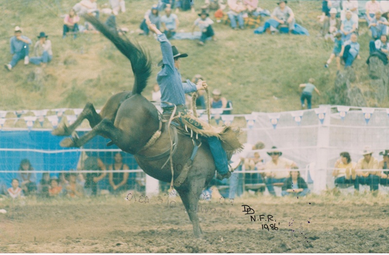 Photograph - Ray Hermann riding Bucking Horse at NFR. ; Double Dee ...