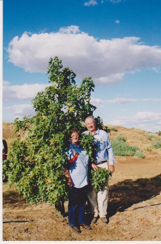 Photograph - Hank & Berry Cosgrove; unknown; 11807 | eHive