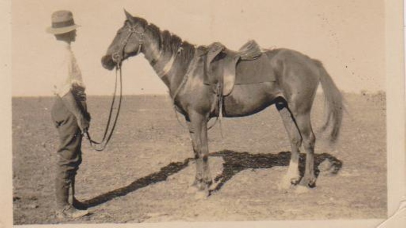 Stan Allan and horse "Richard"; 10240 | eHive