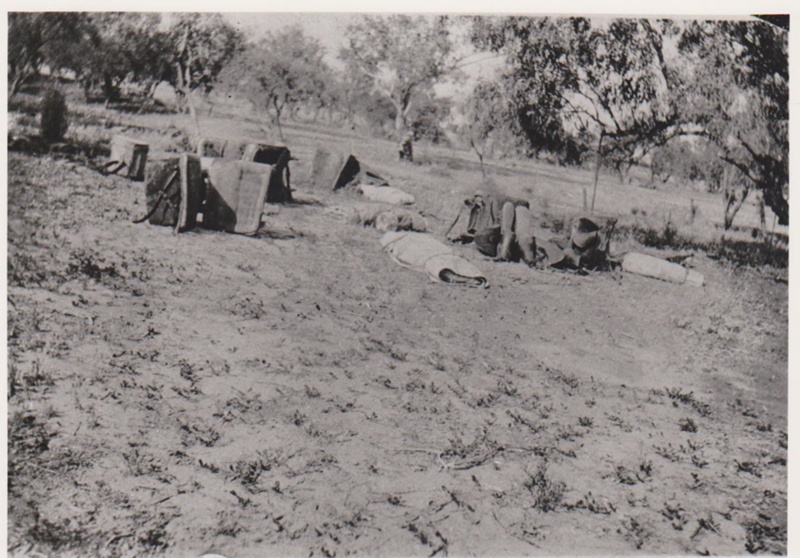 Photograph - Drover's camp?; 1936; 9895 | eHive