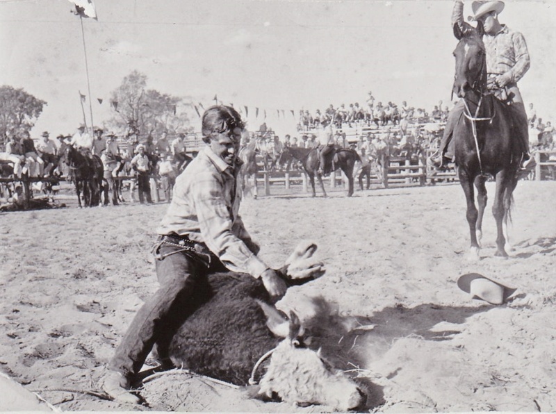 Photograph - Reg Gale rope tying a steer. ; 1968 - 1969 ; 16275 | eHive
