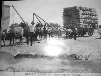Photograph - Record Load of Australian Wool.; 1906; 13234 | eHive