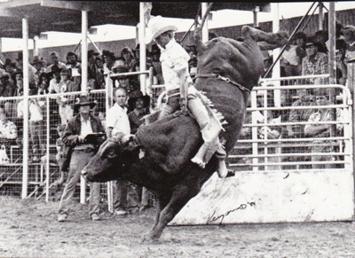 Photograph - Shane Connolly, bull riding champion. ; Michael Kenyon ...