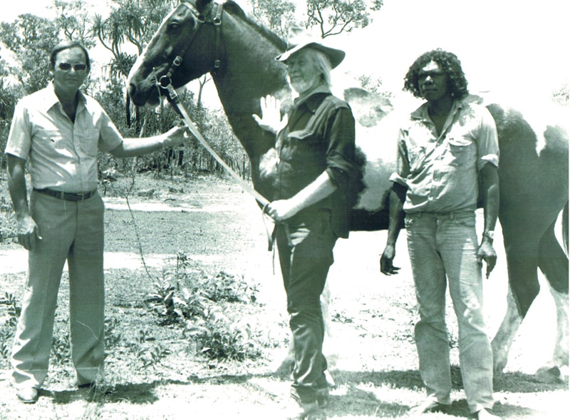 Roger Steele, the skewbald "Trampas", Luke McCall Manager of Palumpa ...
