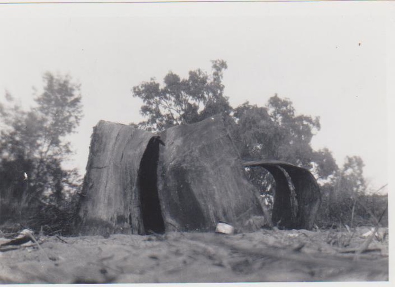 Aboriginal Gunya; 9941 | eHive