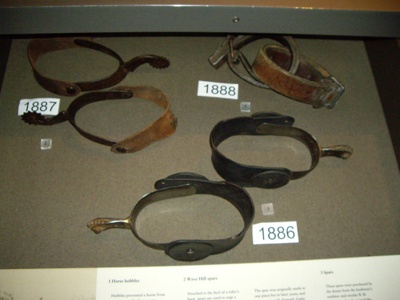 Wave hill Spurs; 1887 | eHive