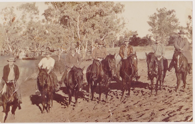 Photograph - Barlow Jackson's droving plant. ; c 1950; 9813 | eHive