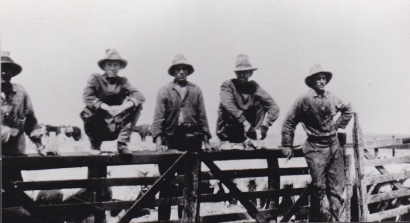 Photograph - Five stockmen. ; 17859 | eHive