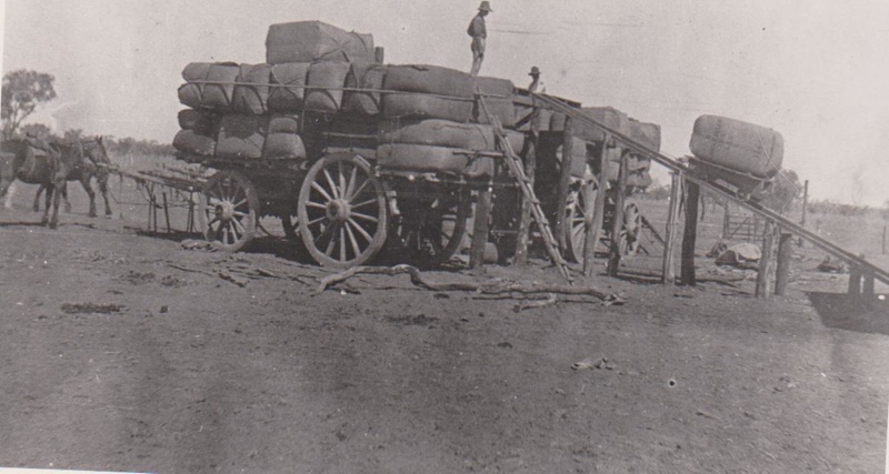 Photograph - Loading wool wagons; c 1910?; 9869 | eHive