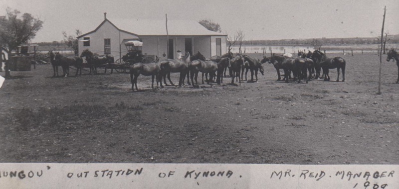 Photograph - "Mungou" - Out Station of Kynona Station. ; 1909; 9887 | eHive