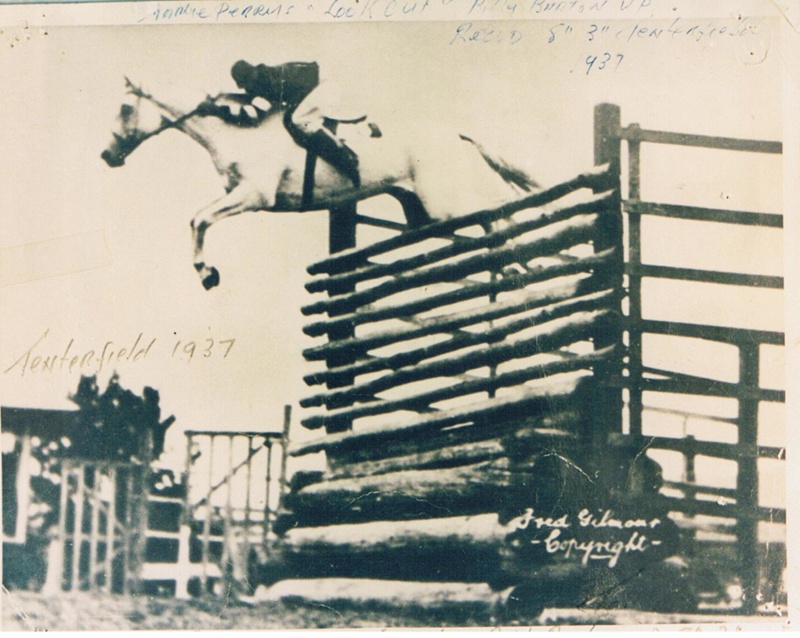 Charlie Perrin's "Lookout" clearing 8'3" at the Tenterfield Show; 7902 ...