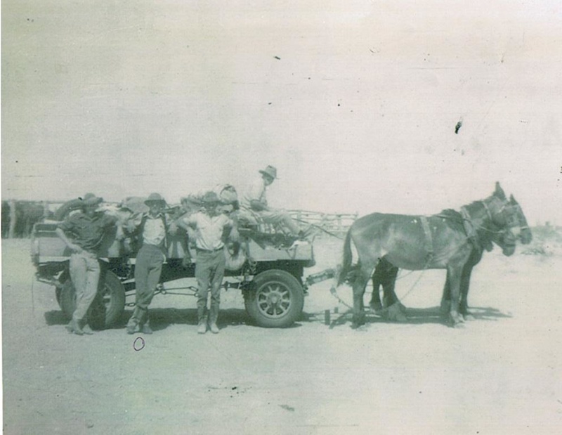 Photograph - Drover's plant returning to Camelweel. ; c 1920; 13468 | eHive