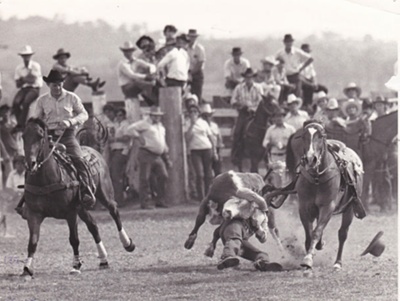 Photograph - Gary McPhee at the Warwick Rodeo. ; Poole, Peter; 1978 ...
