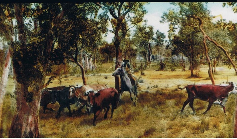 Photograph - Aboriginal Stockmen; Chris Goy; c 1930; 6039 | eHive