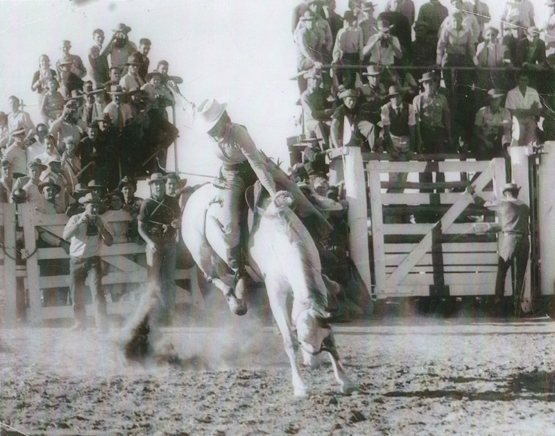 Photograph of Emily Lock, winner of World Championship Buckjump Rider ...