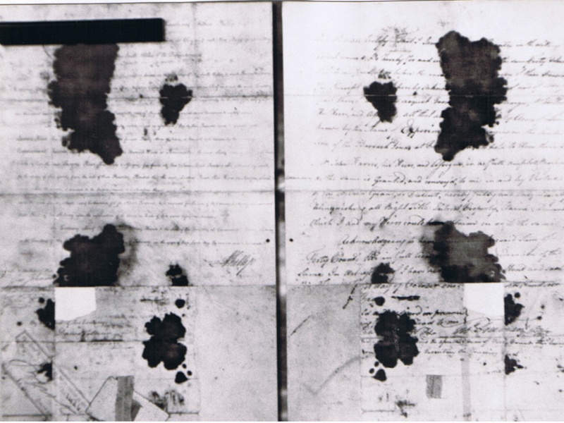 Land Title Deeds - James Ruse; 8774 | eHive