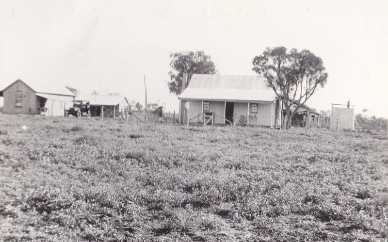 Photograph of Wellshot Station (Ilfracombe, Qld) showing homestead ...