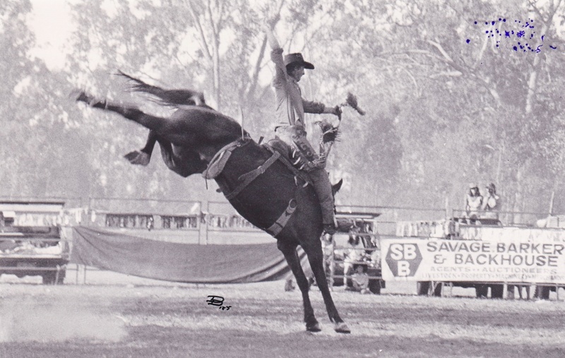 Photograph - Ray Hermann winning Bronc Ride on Gill Bros "Brock ...