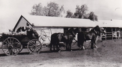 Photograph - Horse Drawn Wagon; c1930s; 16863 | eHive