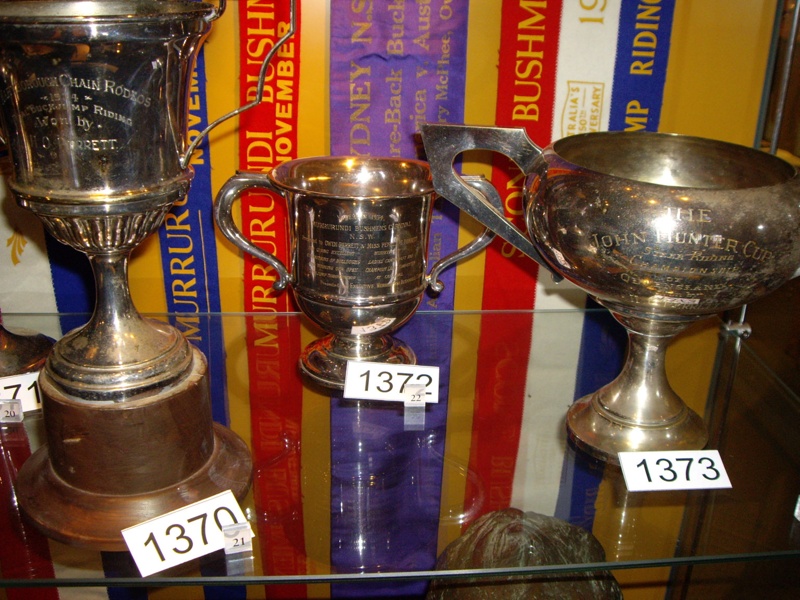 Trophy; 1370 | eHive