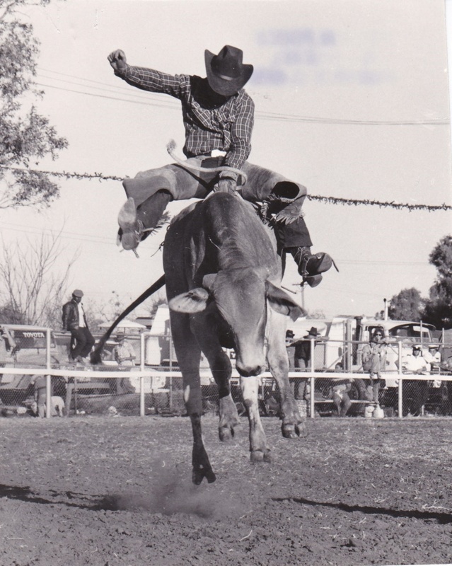 Photograph - Jim McGuire Bullock Riding; 1977; 15997 | eHive