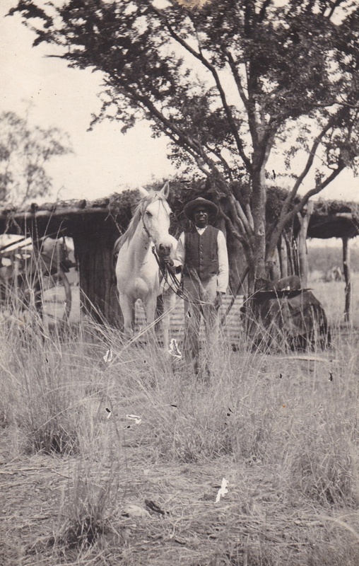 Photograph - Aboriginal Stockman with horse. ; c 1910?; 17260 | eHive