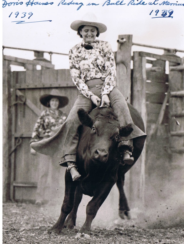 Photograph, lady riding a bull; 1939; 7436 | eHive