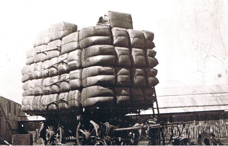 A wool wagon carrying Wellshot wool; c. 1910; 6540 | eHive
