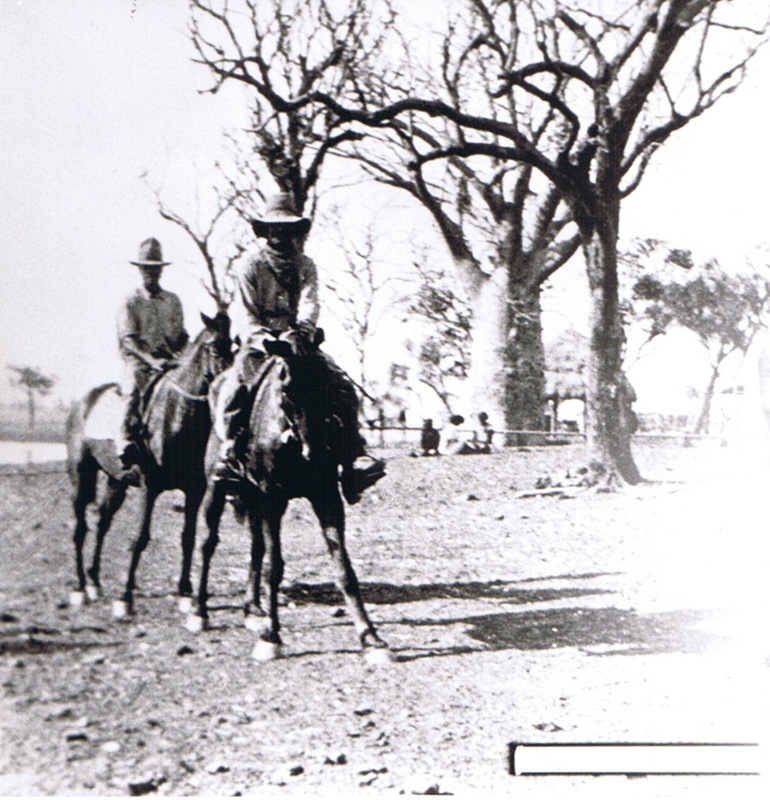 Photograph - Aboriginal Stockmen on Ivanhoe Station. ; 9211 | eHive