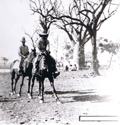 Photograph - Aboriginal Stockmen on Ivanhoe Station. ; 9211 | eHive