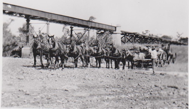 Photograph - Angellala Railway Bridge. ; c 1950; 9908 | eHive