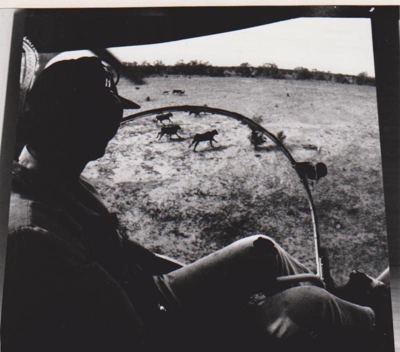 Photograph - Helicopter pilot's view of a Muster; 9258 | eHive