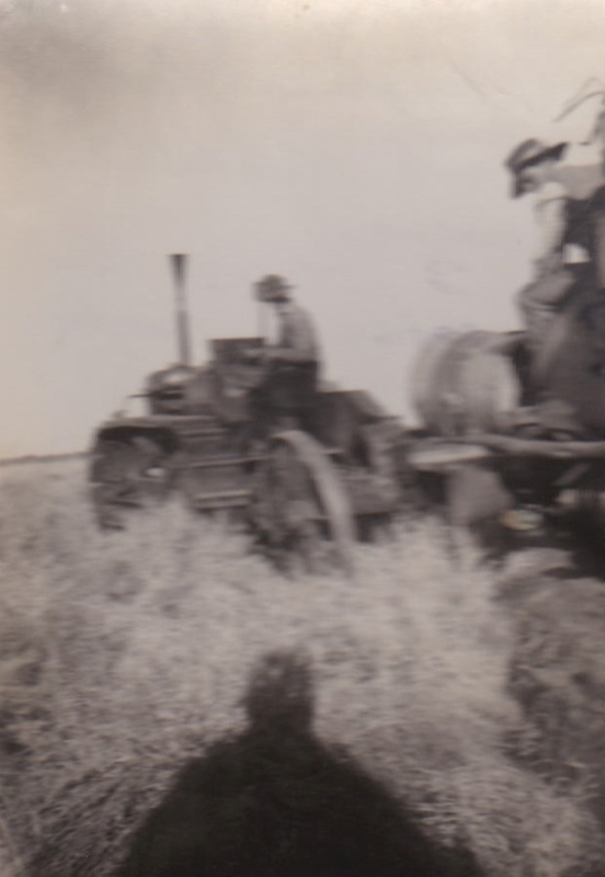 Photograph - Fire Ploughing Through Thick Mitchell Grass; c1950s; 17634 ...