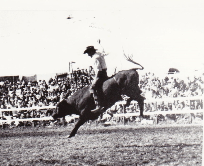 Photograph - Bill Nichols Bull Rider; c1980s; 15970 | eHive