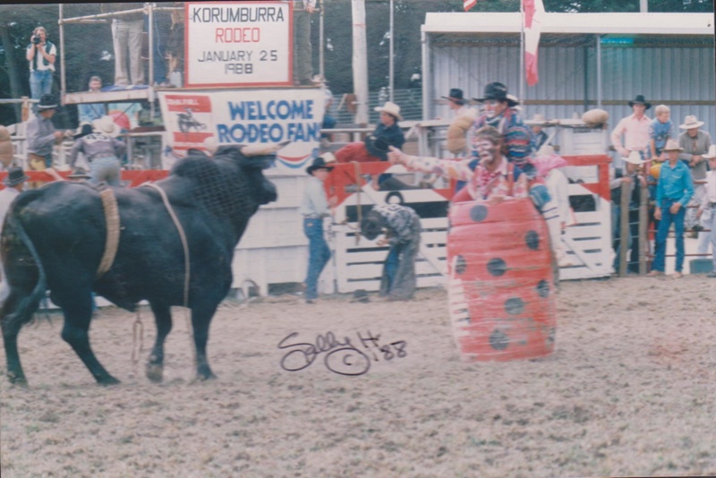 Two rodeo clowns attracting a bull at the Korumburra Rodeo, Victoria ...