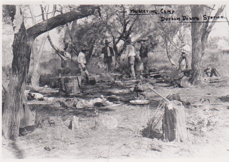 Photograph - Mustering Camp, Durham Downs Station; unknown; 12016 | eHive